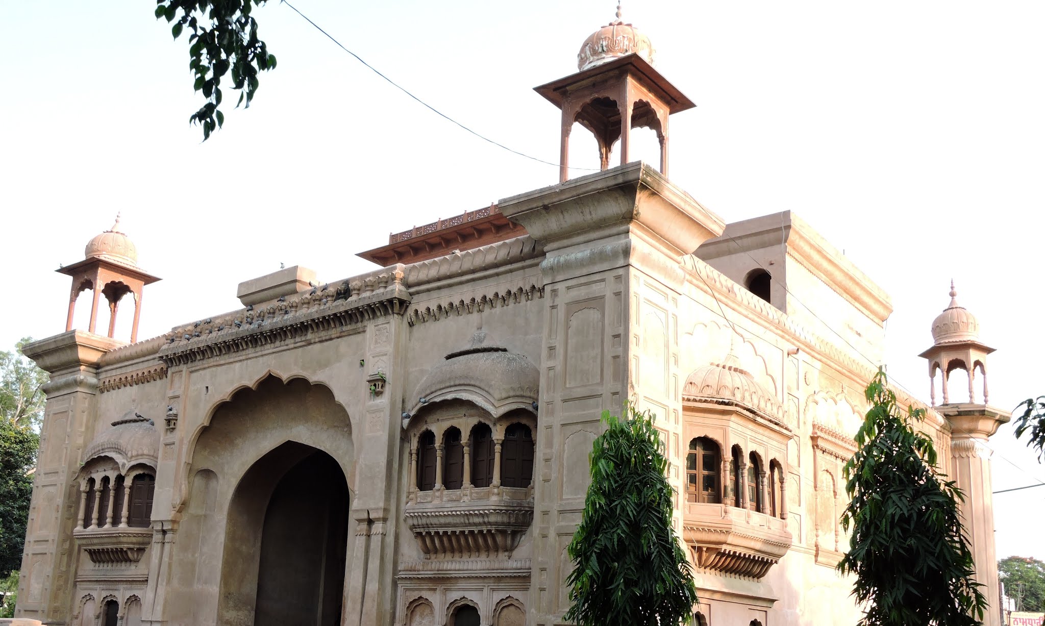 A Nature and Architecture Walk to Ram Bagh Palace | India Heritage Walks